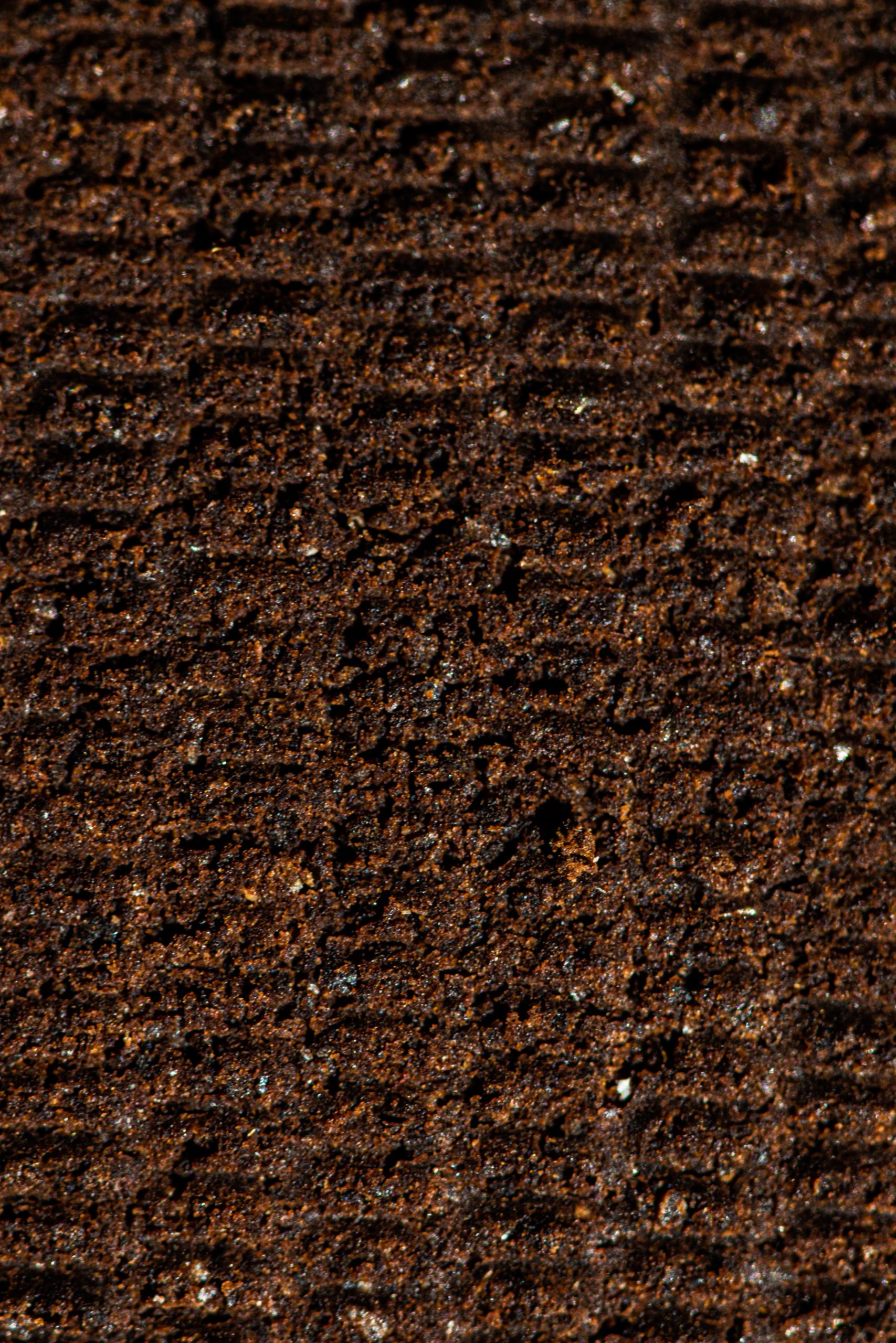 5 Innovative Ways to Recycle Coffee Grounds - Raj's Coffee Co.